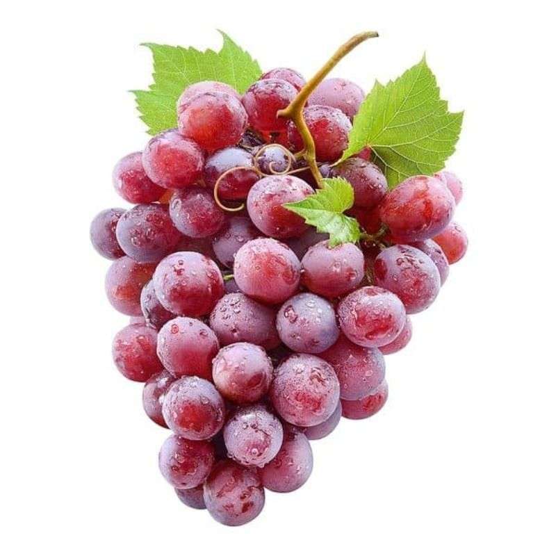 Jual SAYUR MAYUR SEGAR Australia Anggur Merah Buah-buahan [1 kg] di ...