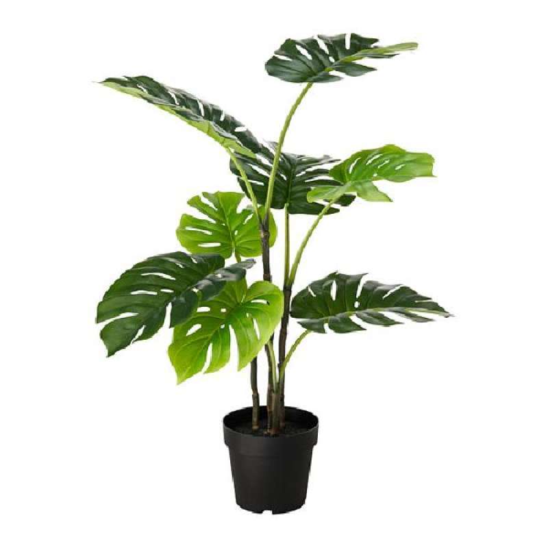 Jual Ikea Monstera Tanaman Pot Bunga Artificial di Seller IKEA LIFE ...