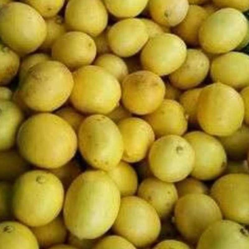 Jual Buah Jeruk Lemon Lokal 250 gr Rempah Bumbu Dapur Super di Seller ...