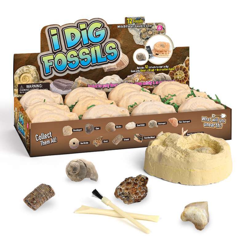 Jual Dino Egg Digging Kit Fossil Archaeology Educational Fun Toys ...