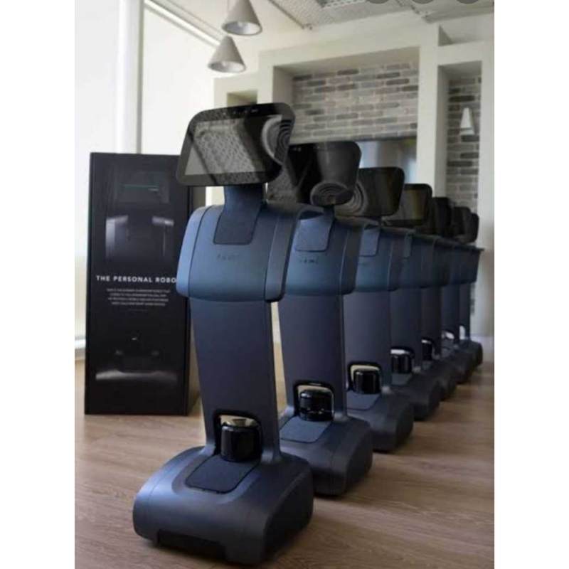 Jual Temi Personal Robot Di Seller Robotemi Indonesia - Kelapa Gading ...