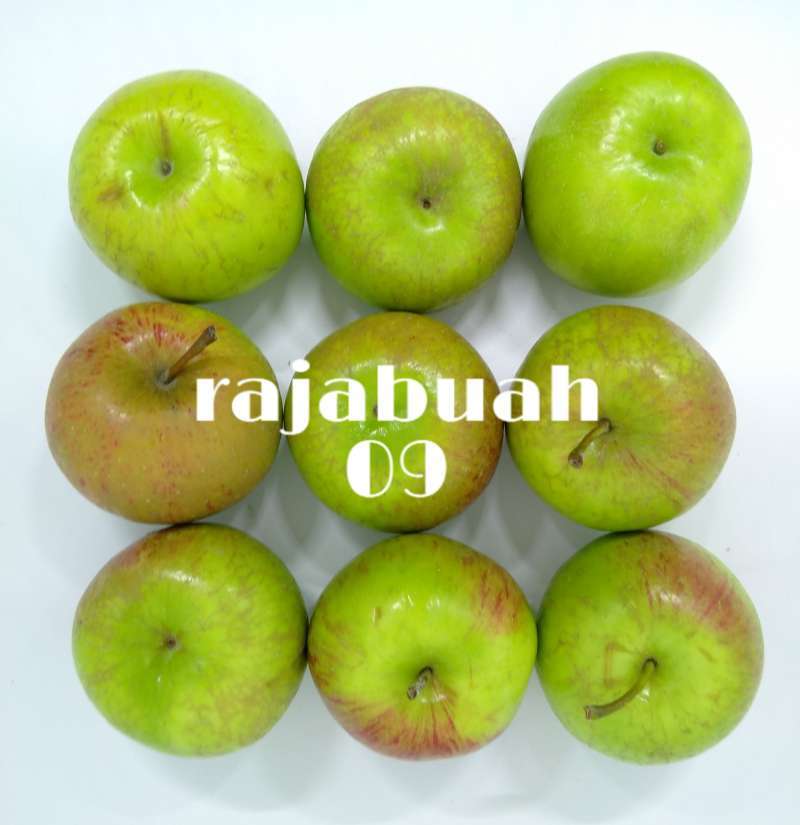 Jual Buah Apel Malang Fresh 1 kg Manis Asem di Seller Rajabuah09 ...