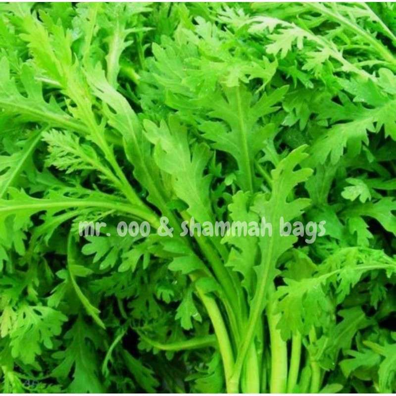 Jual Benih Sayuran - Edible Green Chrysanthemum Coronarium - 100 Benih ...