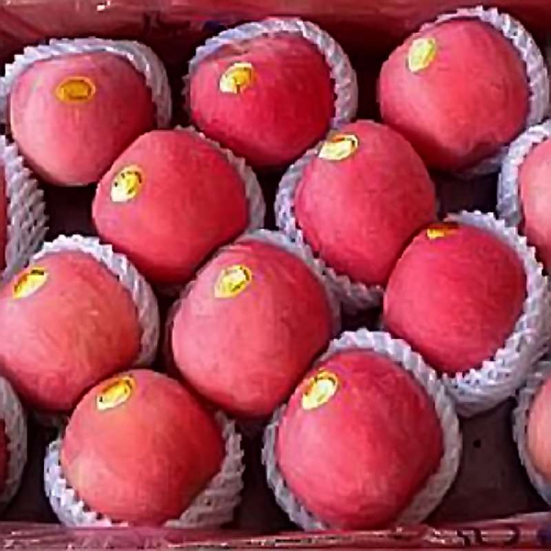 Promo Apel Fuji Rosy Rajanya Buah Denapasar [1 kg] Diskon 10% di Seller ...