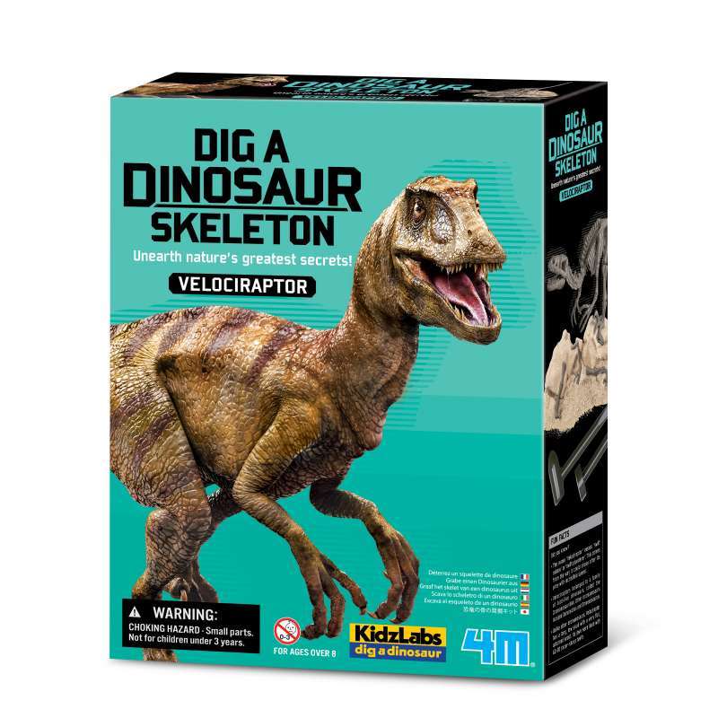 Jual 4M KidzLabs Dig a Dinosaur Skeleton Velociraptor 13234 mainan ...