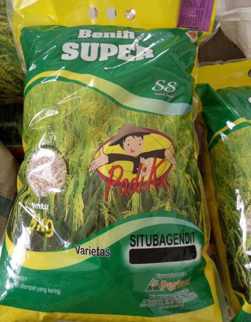 Jual Benih padi unggul SITUBAGENDIT kemasan 5kg di Seller Delisara.shop - Sumberjati-2, Kab ...