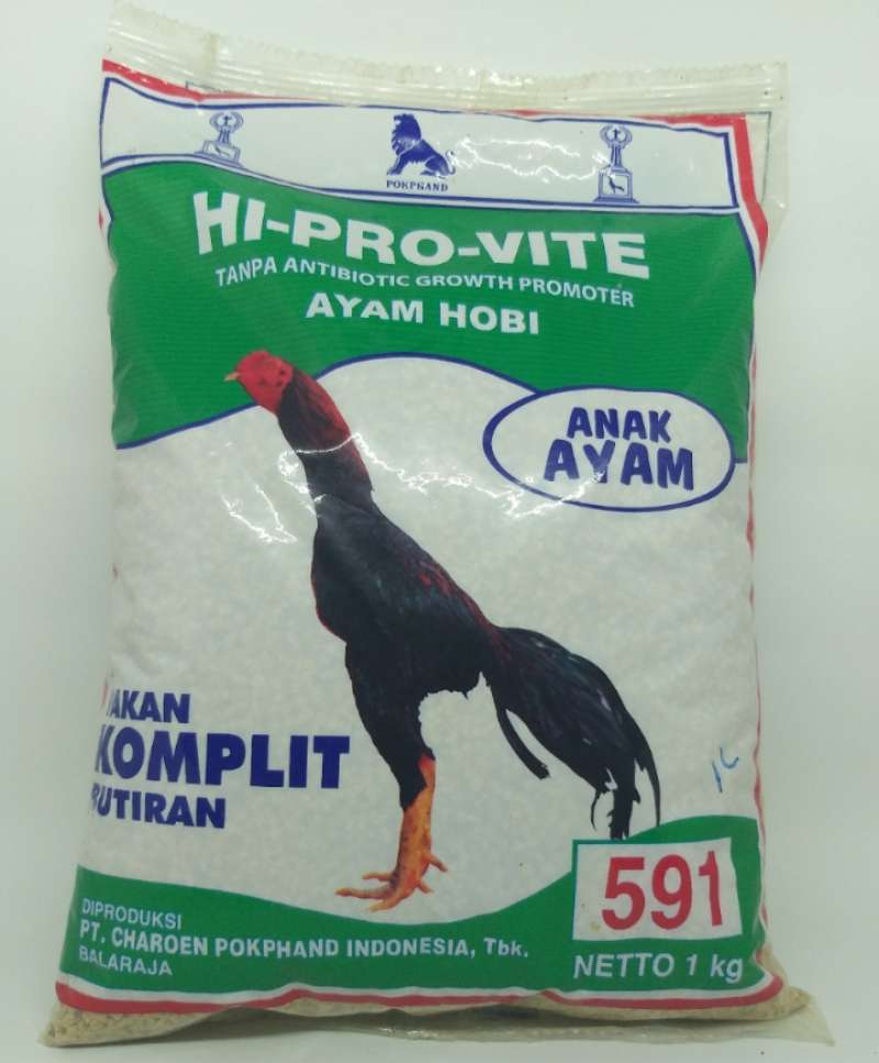 pakan ayam aduan yang mengandung protein tinggi