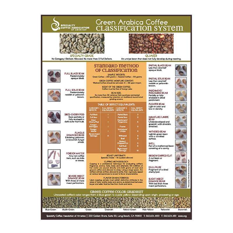 Jual Scaa - Green Arabica Class Chart Poster Di Seller Otten Coffee ...
