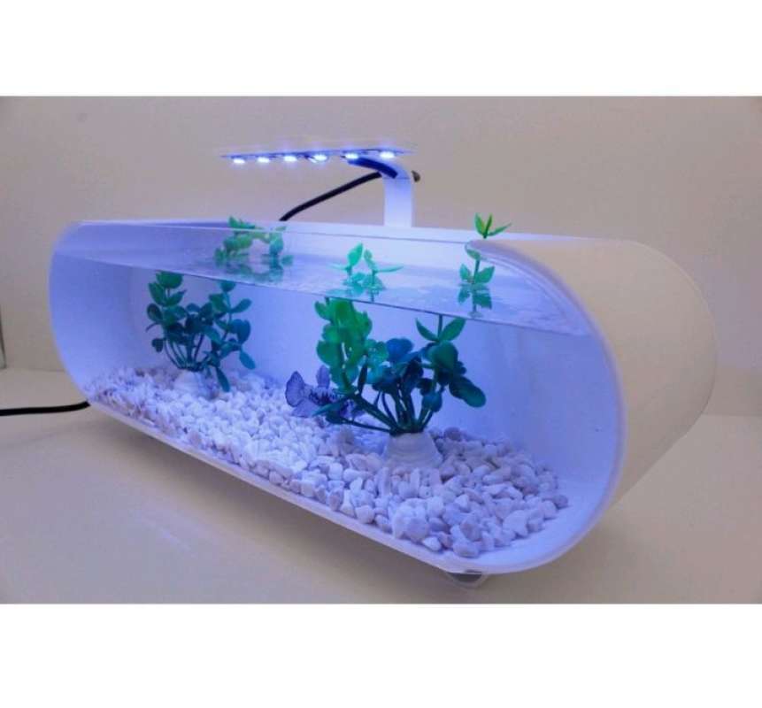 Jual Aquarium Mini Terlengkap - Harga Terbaru Juni 2024 | Blibli