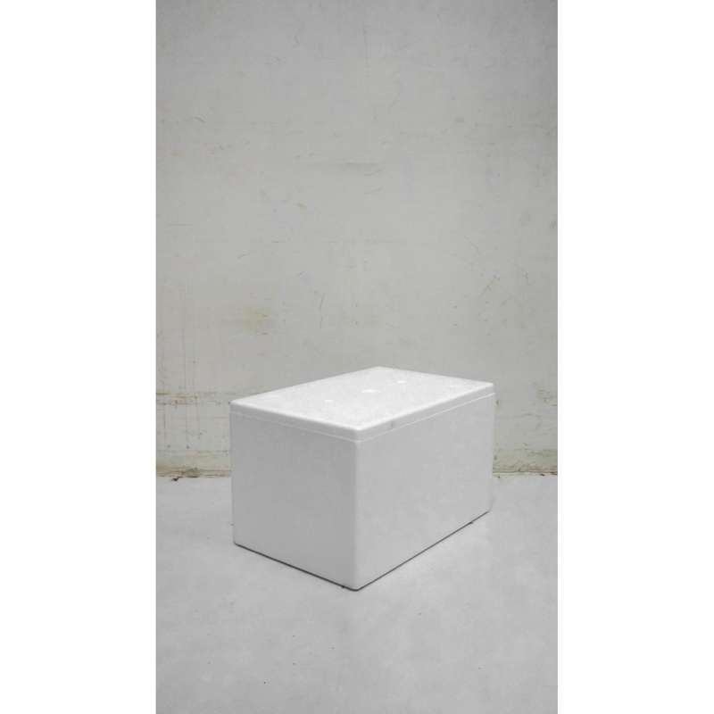 Jual Sterofoam Box Multifungsi Kotak Es Frozen Gabus Dry Ice ...