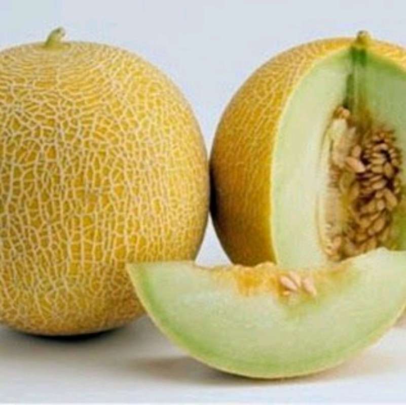 Jual Melon 1,5 Kg Di Seller Faith Fresh - Sunggal, Kota Medan | Blibli