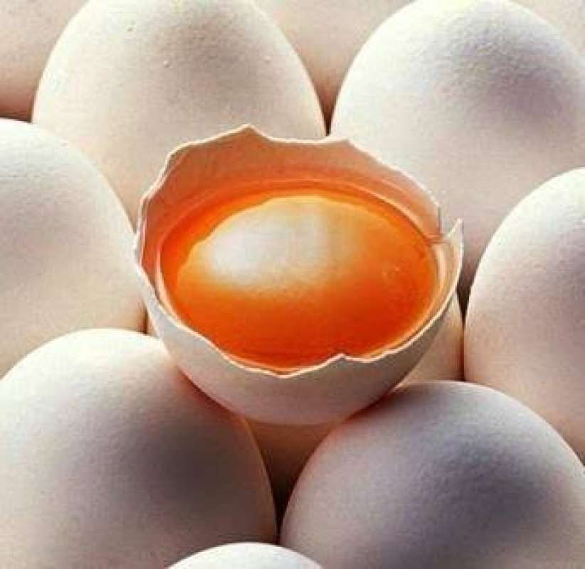 Jual Telur Ayam Kampung Omega 3 (10 Pcs / 30 Pcs-per Tray) - 10 Halal ...