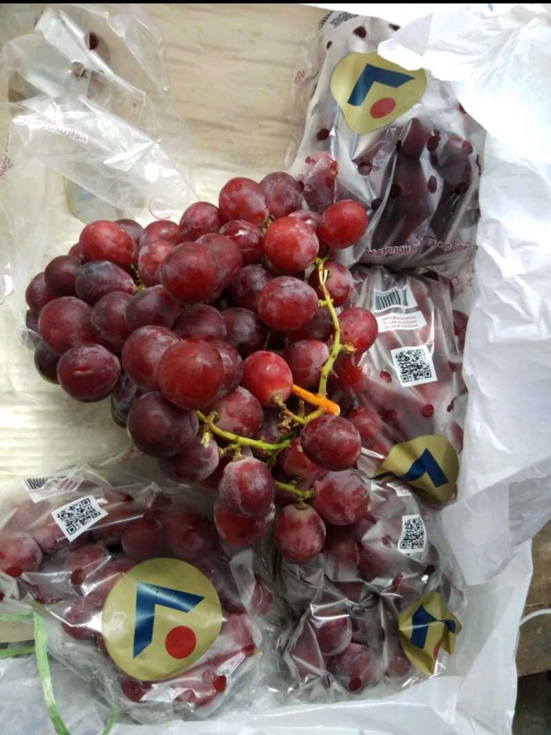 Anggur Australia 1 Kg Gratis Ongkir 🔥 Harga Murah Mei 2026