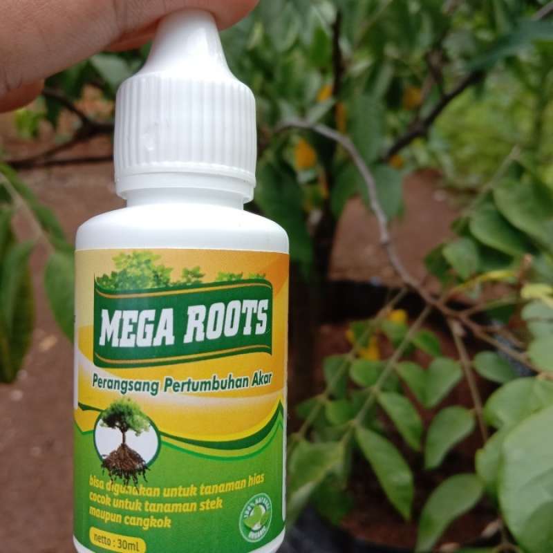 Jual Mega Roots - PENUMBUH AKAR bibit tanaman buah - hias benih biji ...
