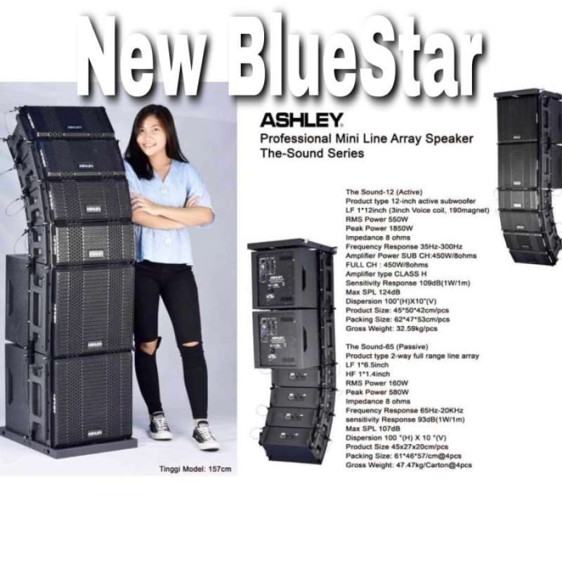 Jual SPECIAL Speaker Line Array Ashley The Sound Series 6.5 inch Sub 12 ...