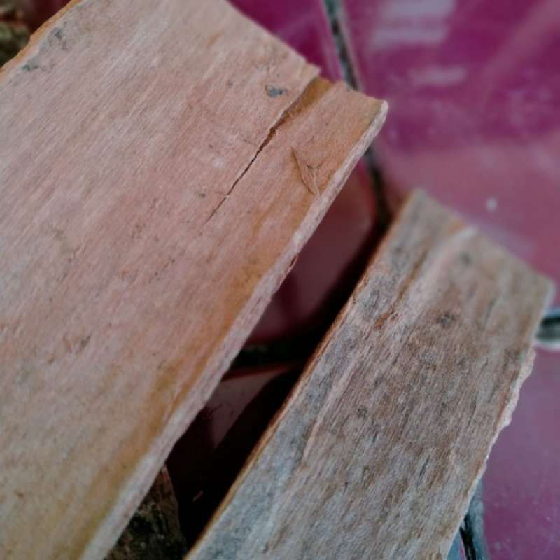 Jual Kayu Sintok Kering 1kg Organik Super Food Di Seller Mustika Djamue ...