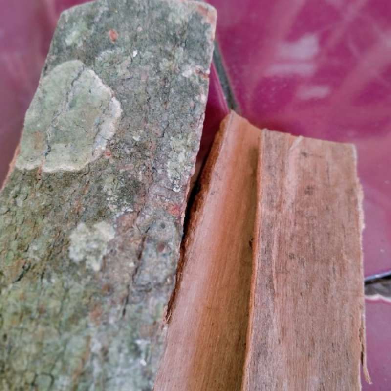 Jual Kayu Sintok Kering 1kg Organik Super Food Di Seller Mustika Djamue ...