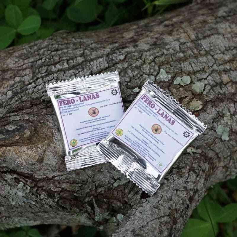 Promo Fero Lanas - Feromon Efektif Mengatasi Hama Boleng/lanas Pada ...