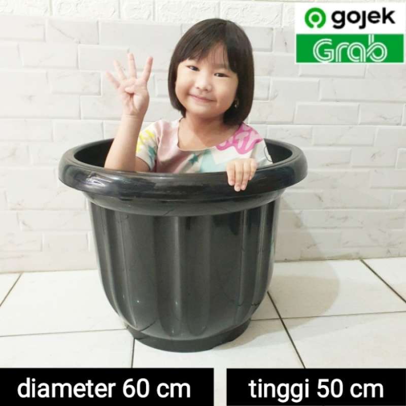 Jual Obral Pot Jumbo Tanaman besar 50 pot 60 tanaman hias buah / bunga ...