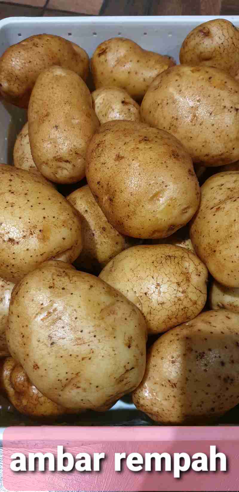 Jual Kentang dieng besar fresh 1kg. di Seller Ambar_Rempah - Benda Baru ...