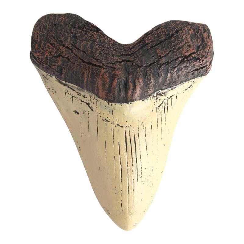 Jual Fake Giant Shark Tooth SKULL Sculpture Horrible Tricky Home Decor ...