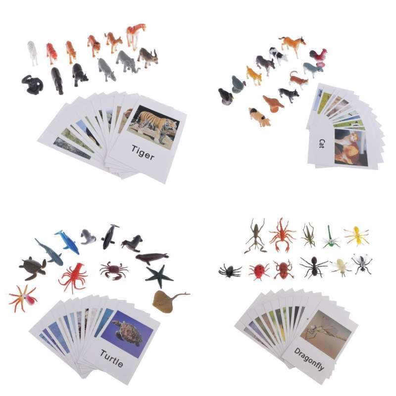 Jual 4 Set Insects Animals Model Card Montessori Toy Kids Matching ...