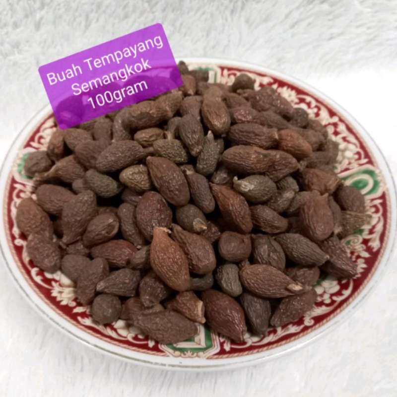Jual Malva Nut 🏷️ 100% Original, Harga & Kualitas Terbaik Maret 2025