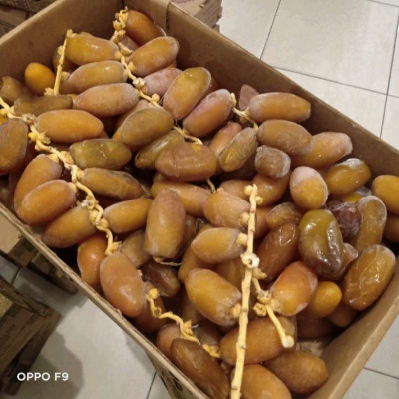 Jual Ruthob /kurma Muda Segar/ Kurma Promil Frozen- Kemasan Dus 1kg Di ...