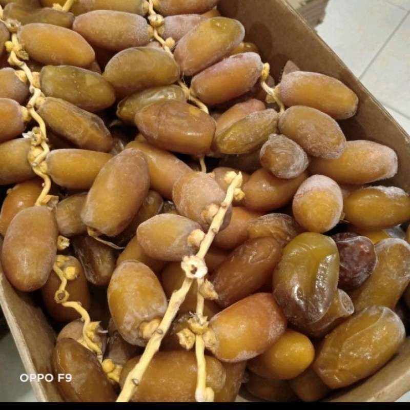 Jual Ruthob /kurma Muda Segar/ Kurma Promil Frozen- Kemasan Dus 1kg Di ...