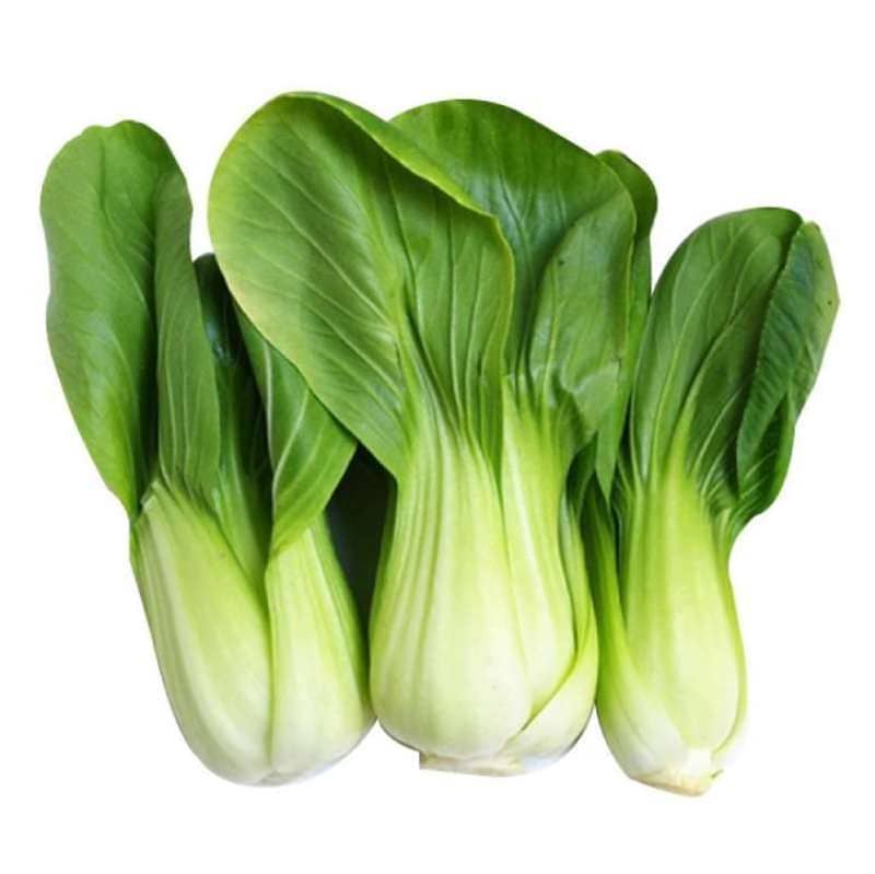 8 Aneka Olahan Frozen Food - Blibli Friends