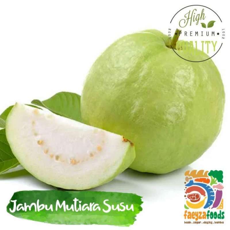 Jual BUAH JAMBU MUTIARA SUSU / JAMBU BIJI / KELUTUK HIJAU MUTIARA SUSU ...