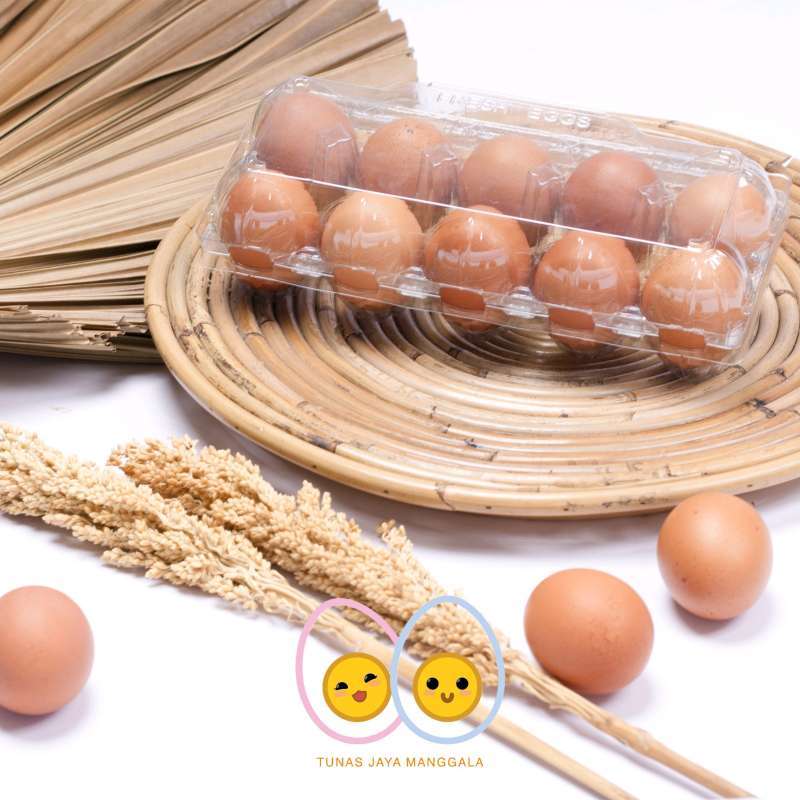 Jual Telur Ayam Negeri 1 Pack Termurah - Harga Grosir Terupdate Hari ...