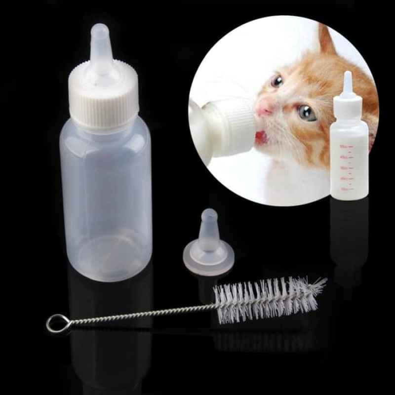 29 Gambar Dot Untuk Bayi Kucing - Referensi Gambar