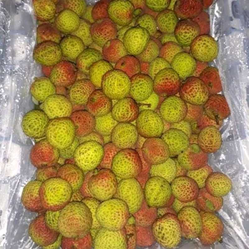 Jual Buah Leci Segar 1 Kg Termurah - Harga Grosir Terupdate Hari Ini ...