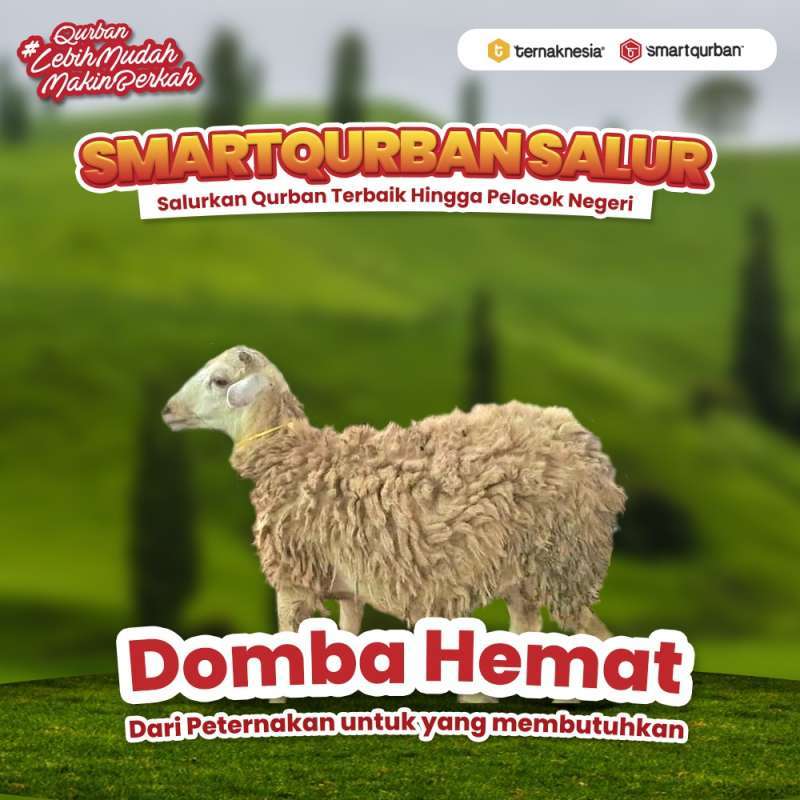 Jual Qurban Domba Ternaknesia HEMAT di Seller Ternaknesia - Dr. Sutomo ...