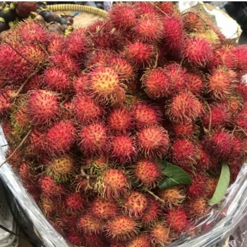 Jual Rambutan Merah Manis / 1kg Di Seller Pasar Badung - Dauh Puri ...