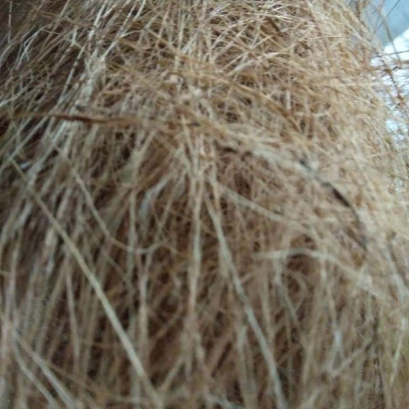 Jual coco fiber kelapa di Seller @lfaberkahhome - Danasri Lor, Kab ...