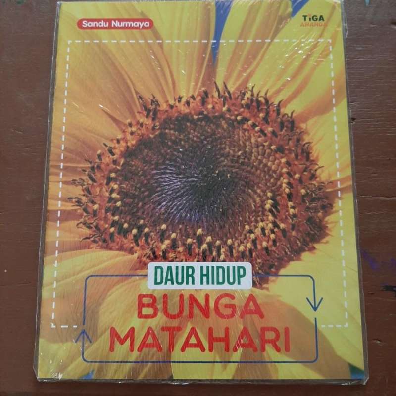 Jual Buku Pengetahuan Anak - Daur Hidup : Bunga Matahari Di Seller Toko ...