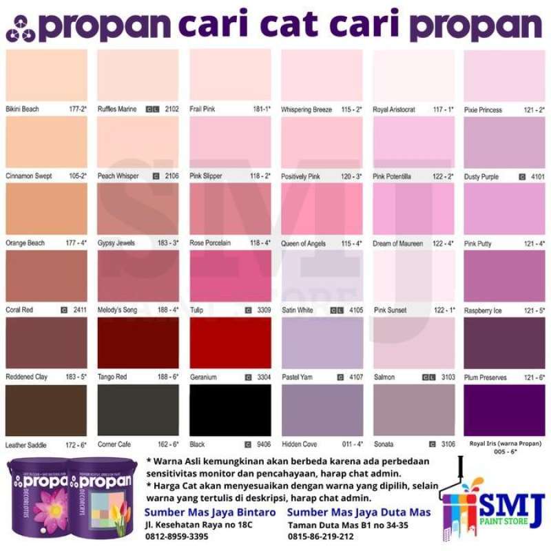 Jual Cat Tembok Interior Premium PROPAN DECORCRYL DI 400 warna tinting ...