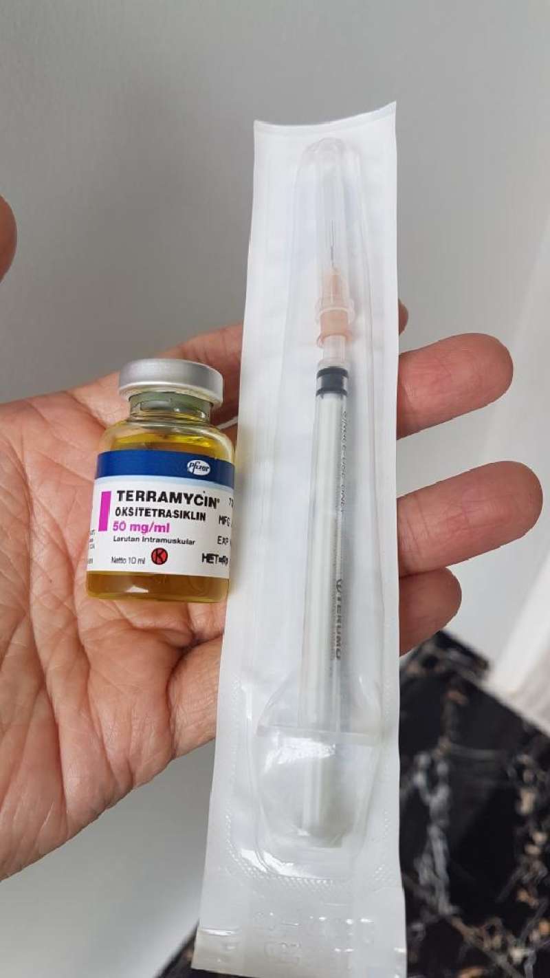 Jual Terramycin obat flu / pilek kura kura FREE Suntikan 1cc di Seller ...
