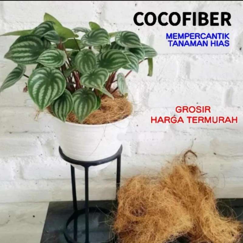 Jual SABUT SERABUT IJUK KELAPA COCOFIBER COCO FIBER PENGHIAS TANAMAN di ...