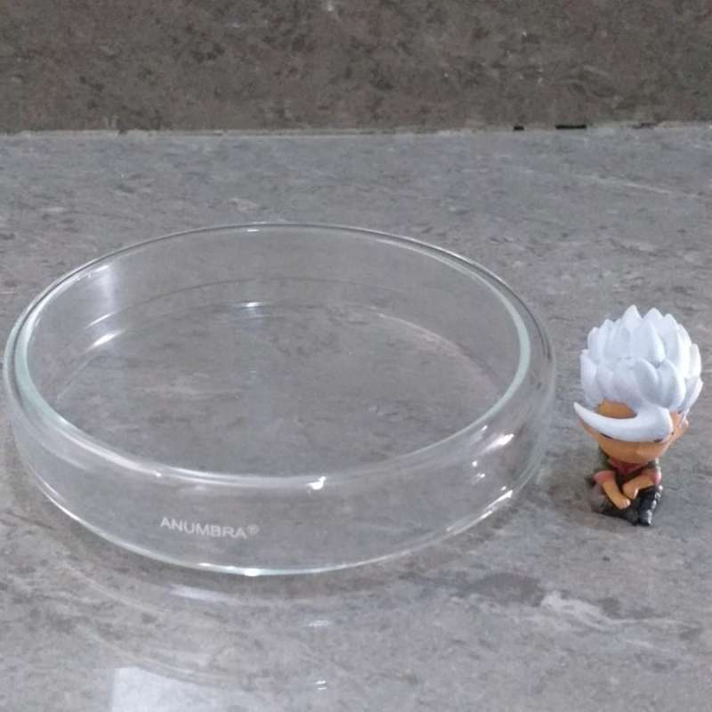 Jual Petridish Petri Petridis Cawan petri 100 x15 mm 10cm x 15mm di Seller Ansari Medika ...