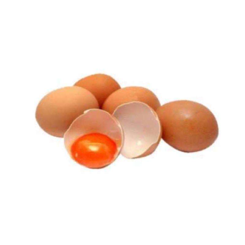 Jual Telur Negeri Omega [10 butir] Halal di Seller Blibli Express Green ...