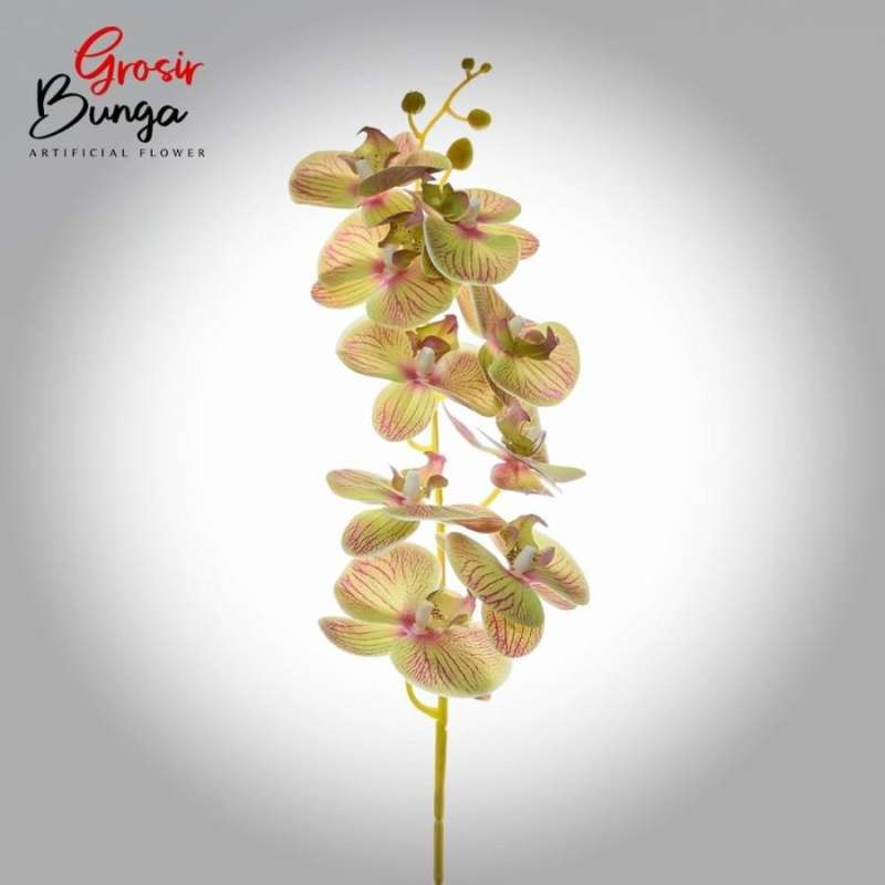 Jual Bunga Artificial - Anggrek Latex Premium - Warna Hijau Di Seller ...