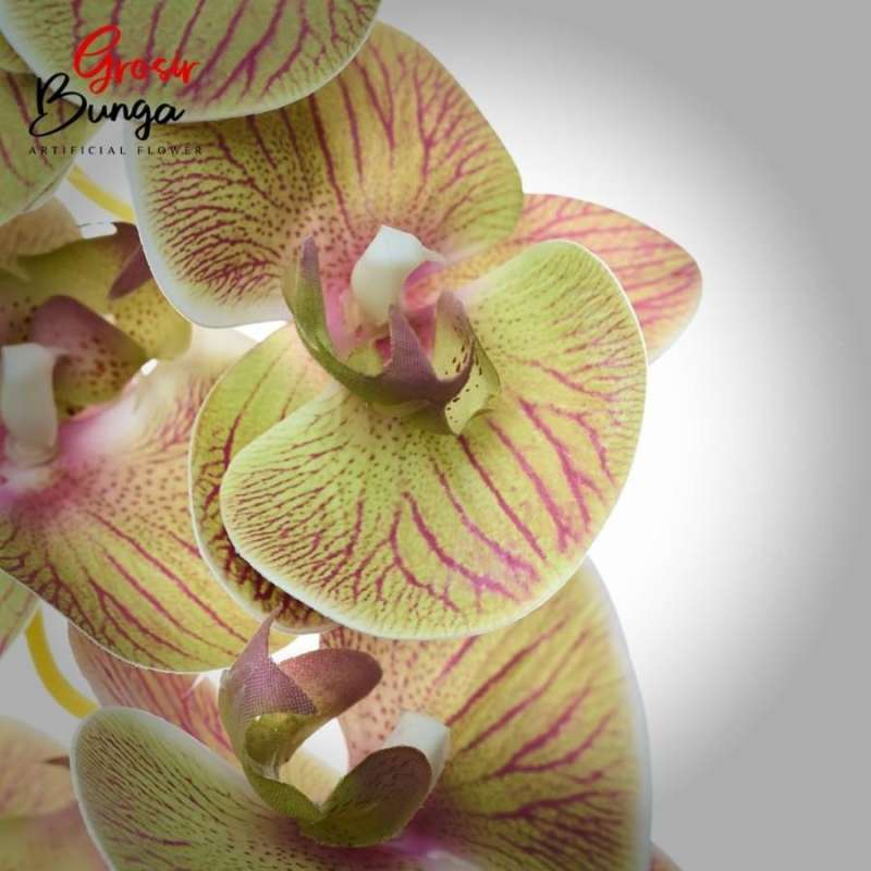 Jual Bunga Artificial - Anggrek Latex Premium - Warna Hijau Di Seller ...