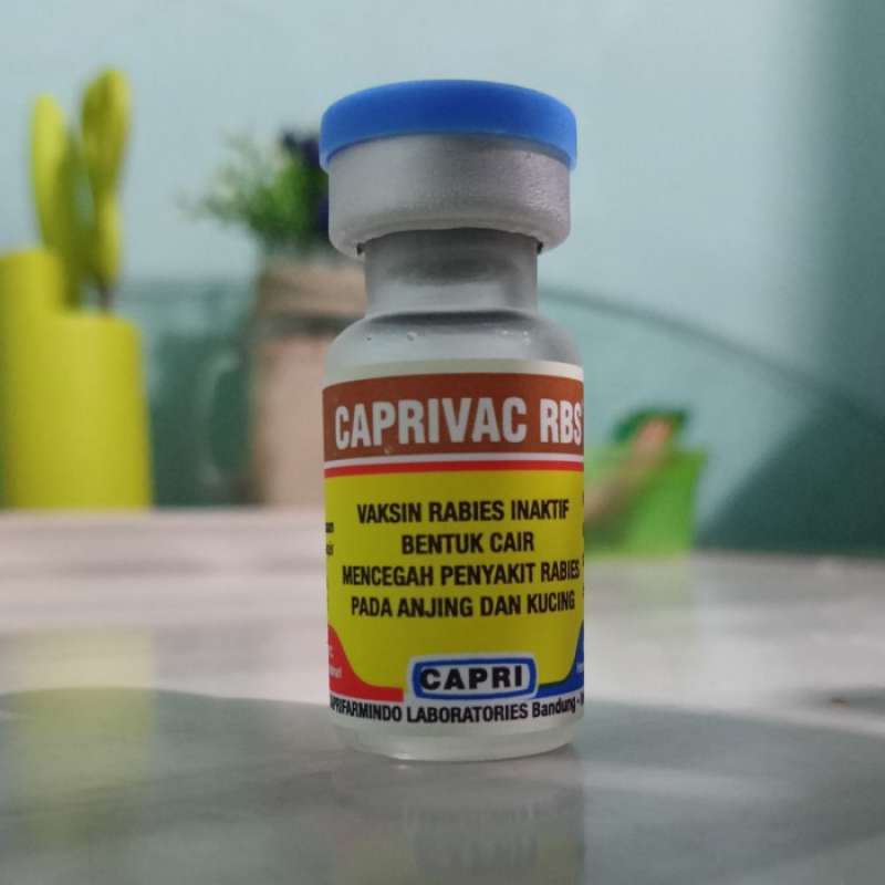 Promo Vaksin Rabies Inaktif Caprivac Rbs Untuk Anjing Kucing Diskon 26% ...