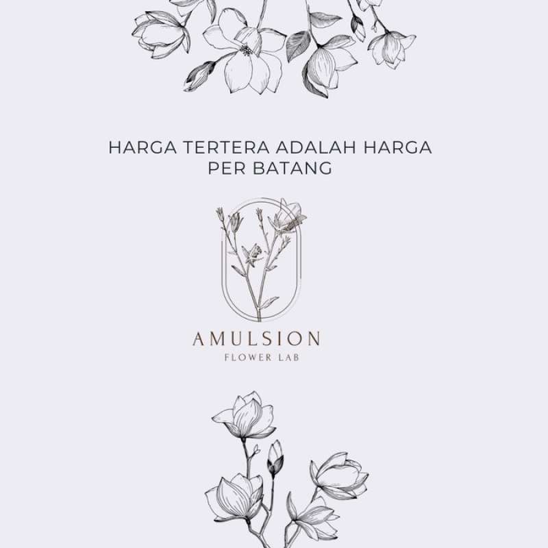 Jual Bunga Ranuculus Artificial Dekorasi Wedding Properti Foto Bouquet ...