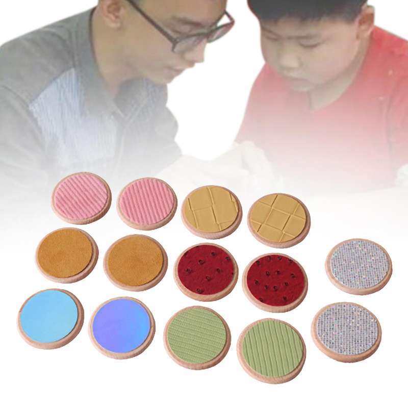 Jual Wood Tactile Board Color Cognition Matching Game Teaching Aids ...