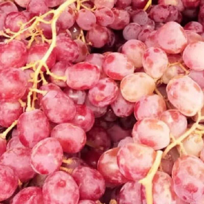 Jual Anggur Merah 1 kg Halal di Seller sayur segar bekasi - sayur segar ...