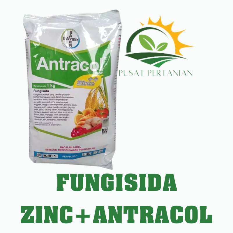 Jual PACK 1KG FUNGISIDA ANTRACOL 70 WP + ZINC obat pengendali hama di ...